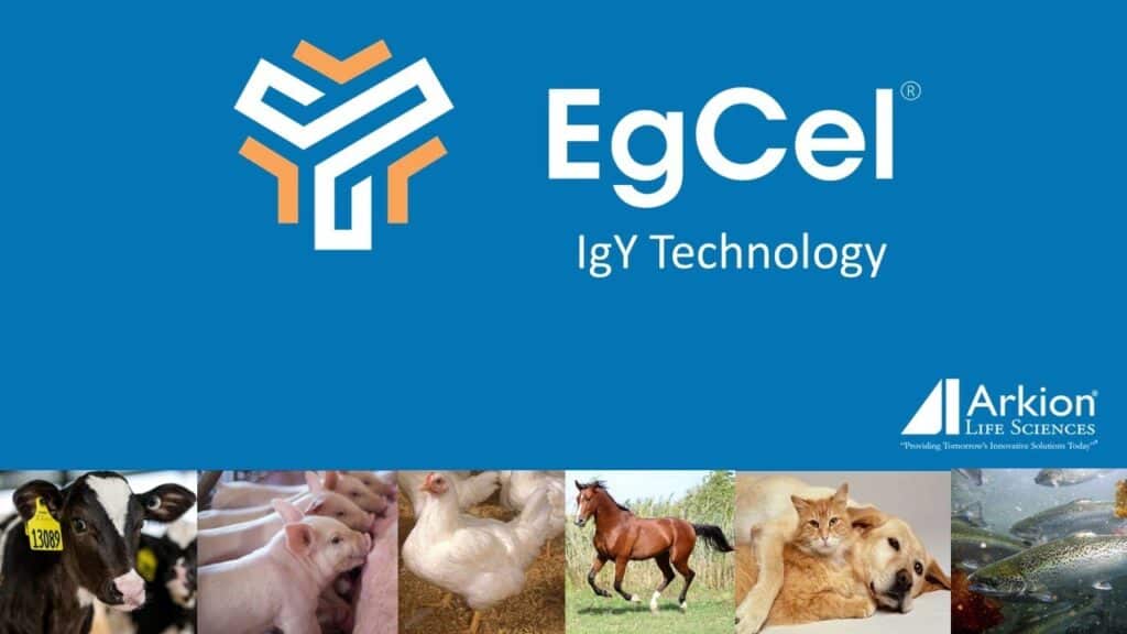 The Science Behind EgCel Technology | EgCel